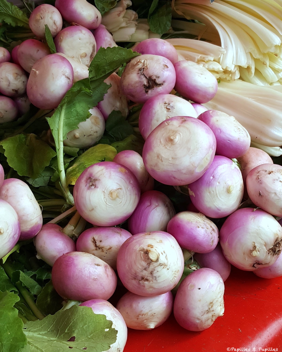 Comment cuire les navets en 5 façons et idées recettes