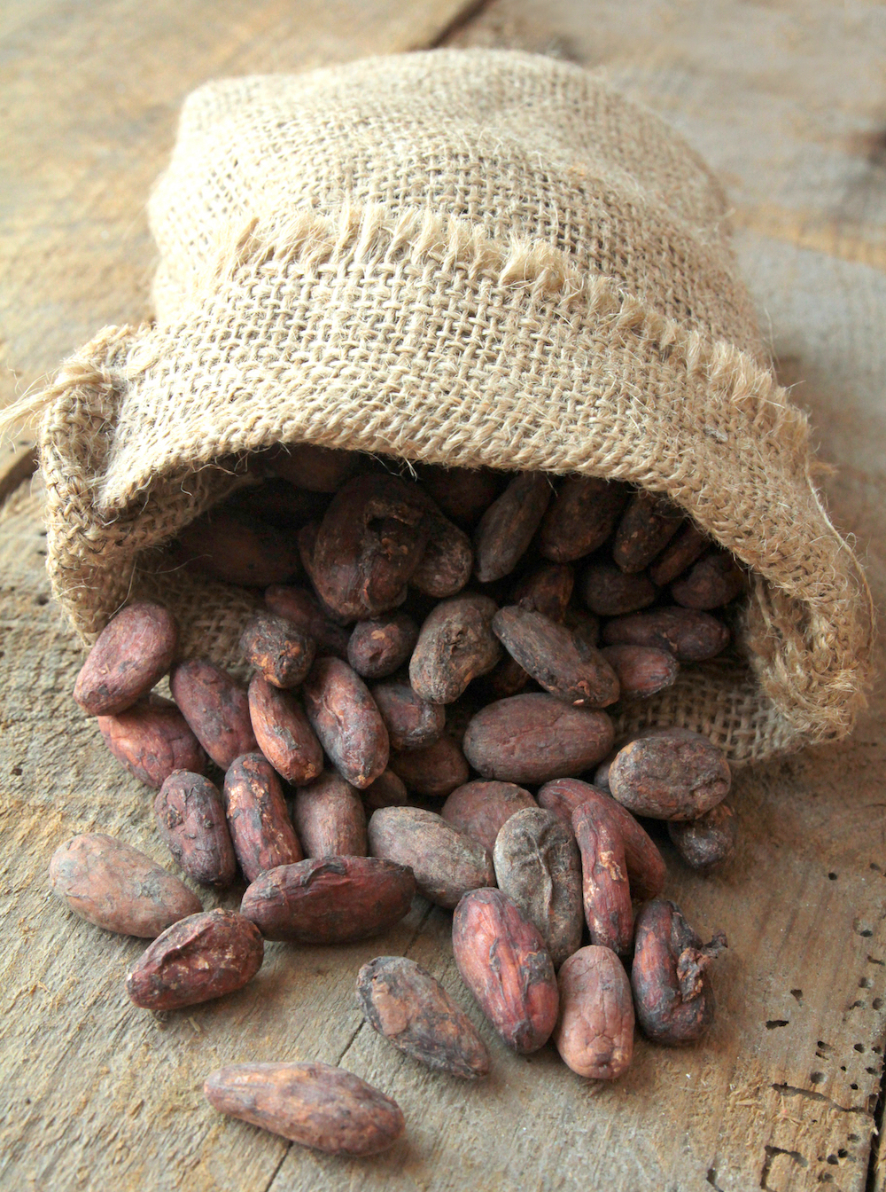 Fèves de cacao : les graines du cacaoyer (chocolat)
