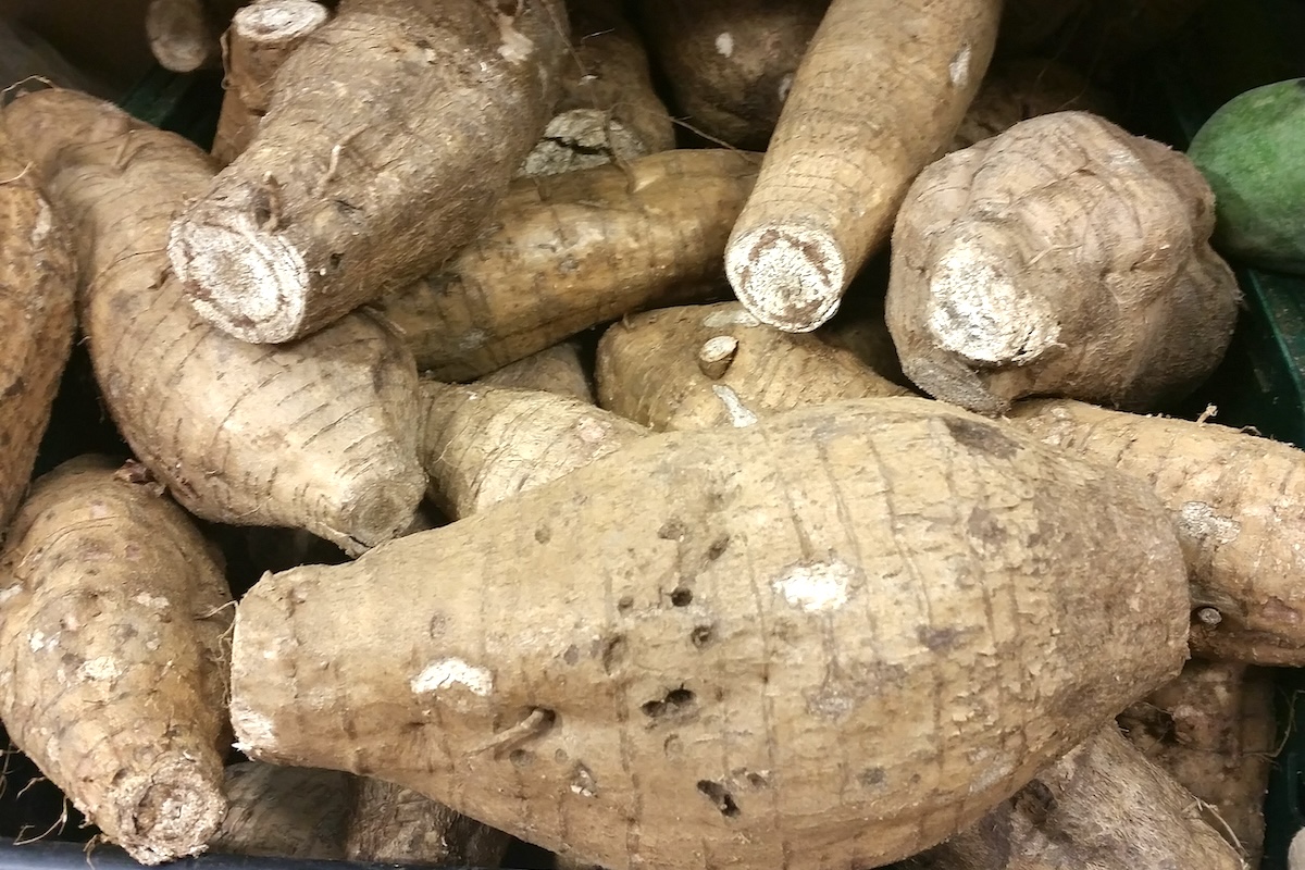Le kuzu (kudzu) : un épaississant naturel aux mille vertus