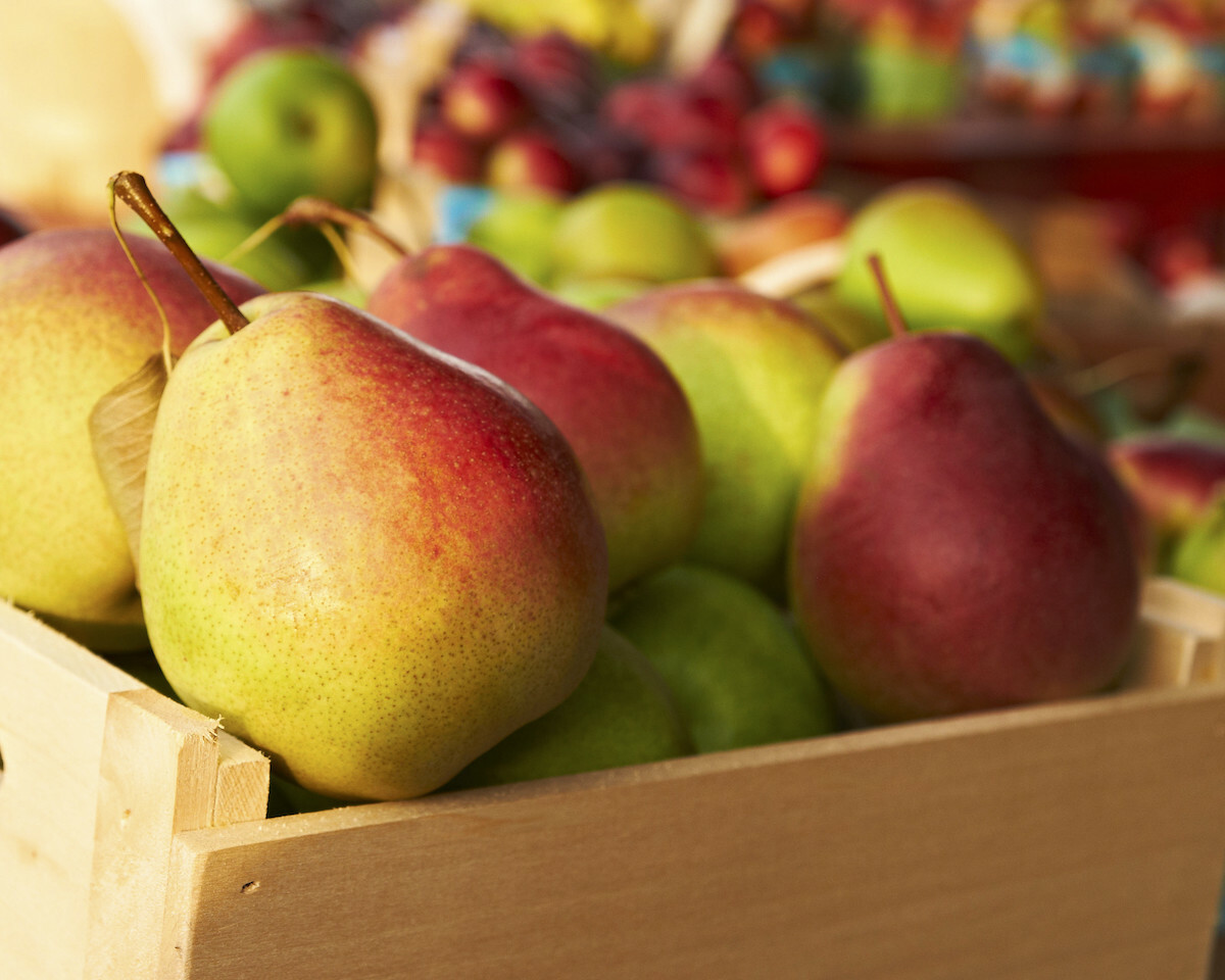 Le b.a-ba des poires : un délicieux fruit d'automne