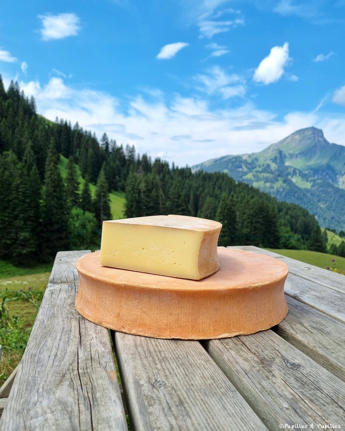 Quels sont les fromages à pâte pressée cuite