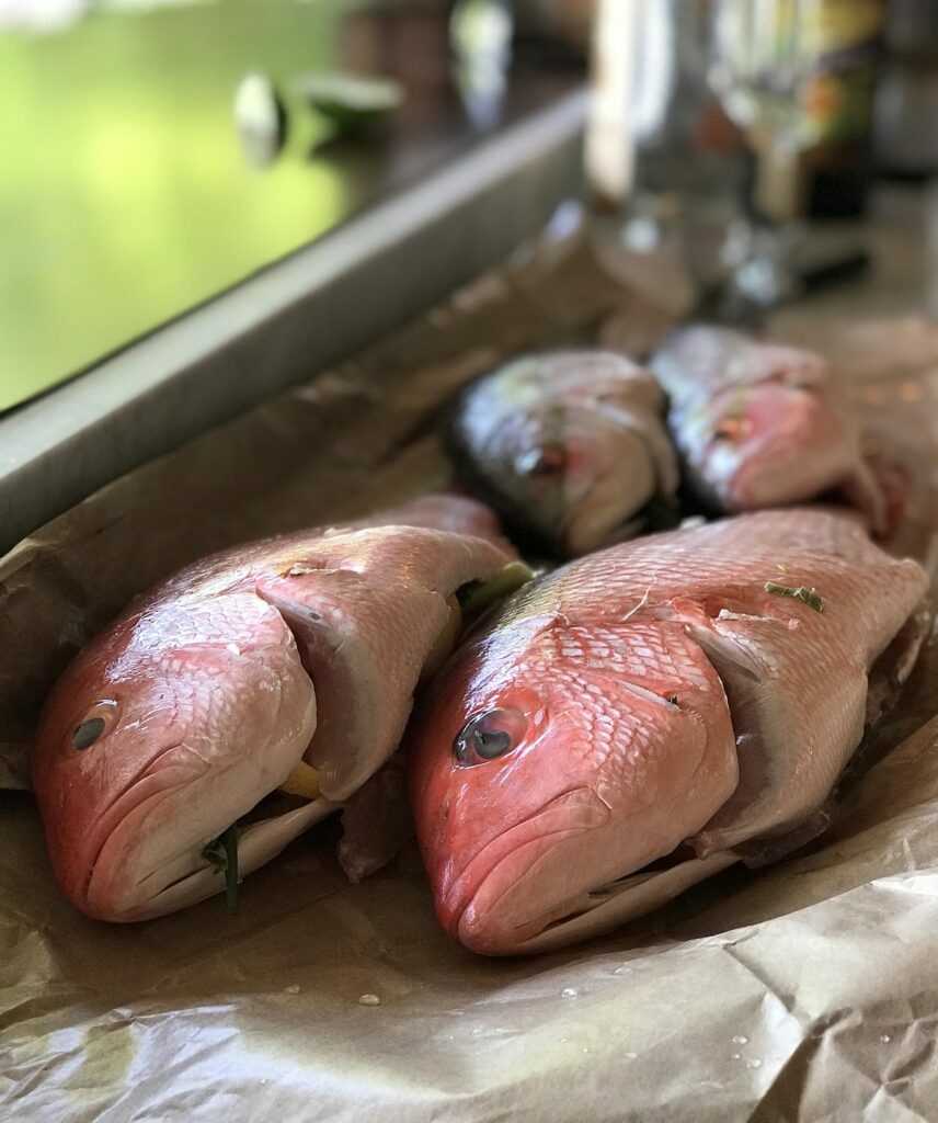 Vivaneau, un excellent poisson à chair ferme