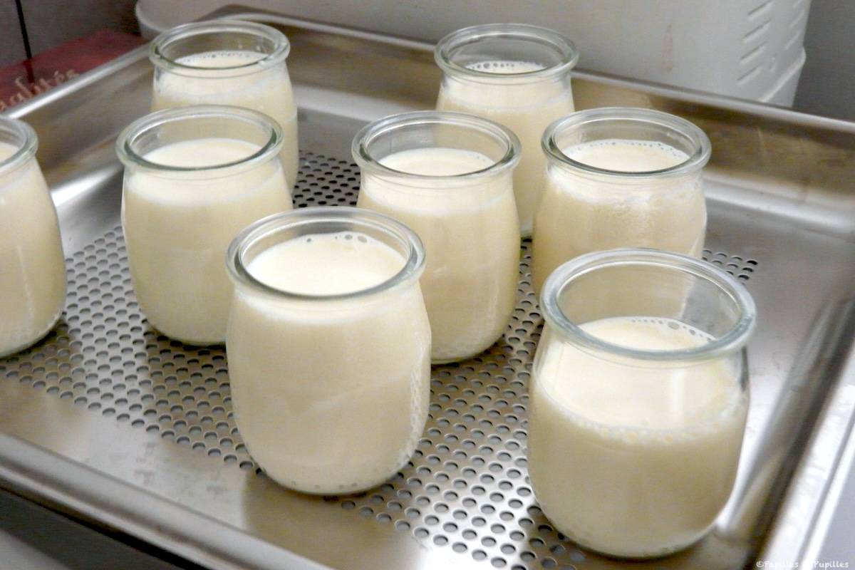 Yaourts au lait concentré : très doux avec une texture ferme