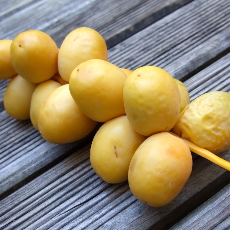 Sirop de dattes : un sucre naturel délicieux