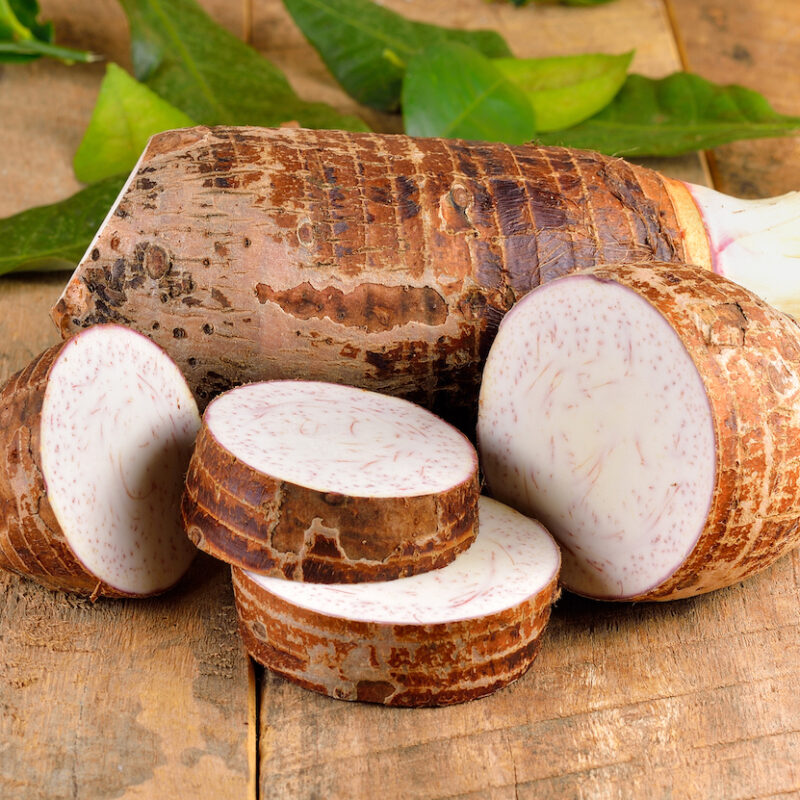 Dachine (taro) : usages et cuisson en cuisine antillaise