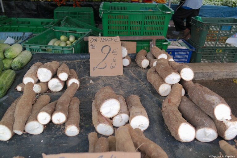 Comment préparer et conserver la racine de manioc