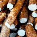 Couac (kwak) : la semoule de manioc torréfiée