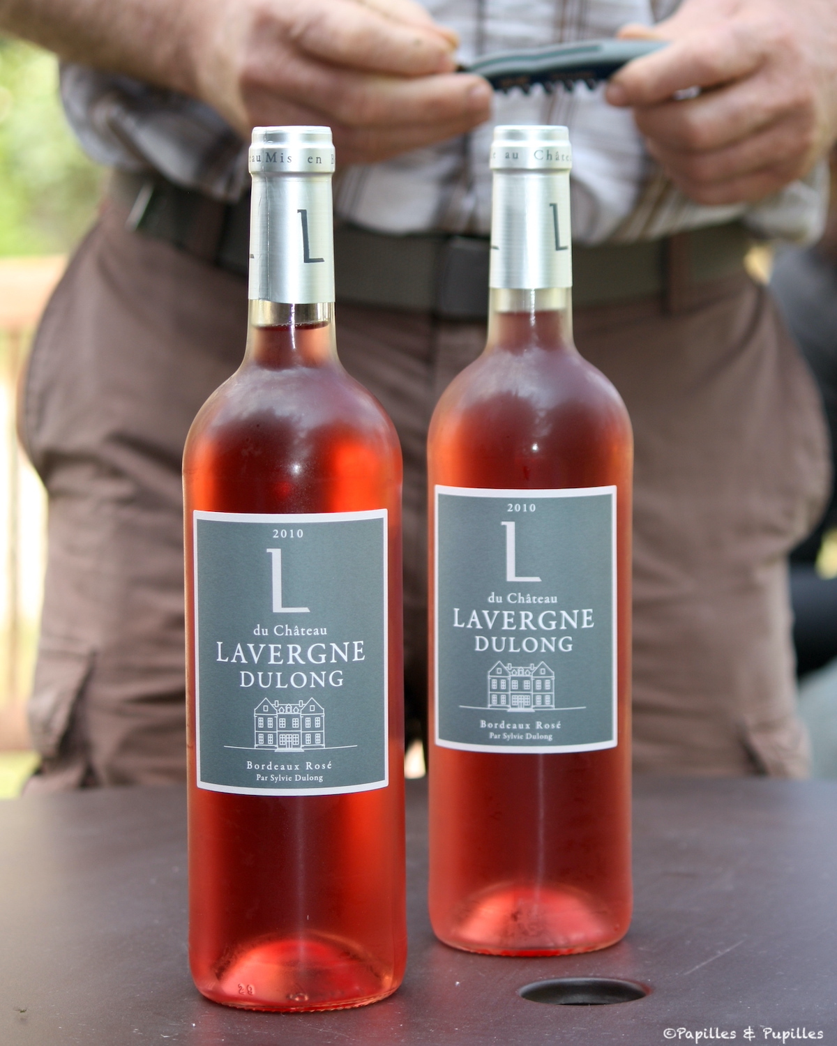 Château Lavergne Dulong, Montussan (Bordeaux)