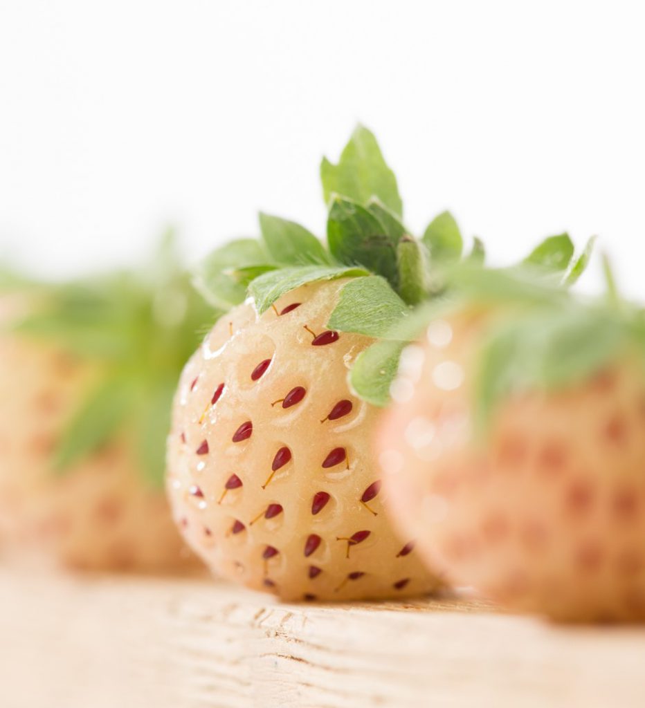 Fraises blanches : un parfum de fraises, des notes d’ananas
