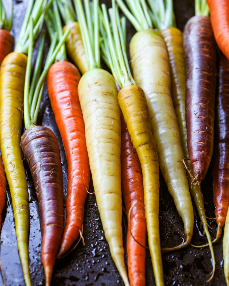 Carottes, un légume racine délicieux et plein de vitamines