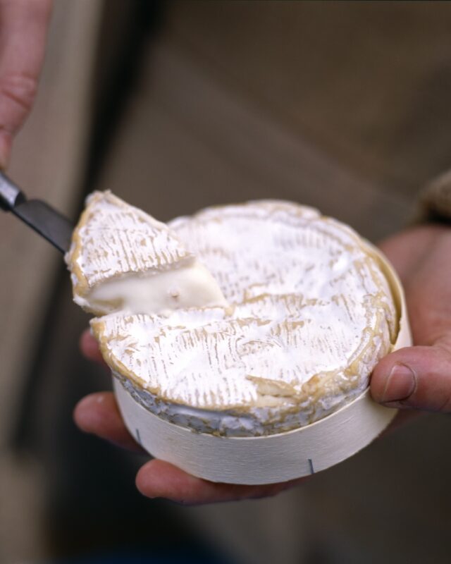Camembert : un fromage à pâte molle et à la croûte fleurie
