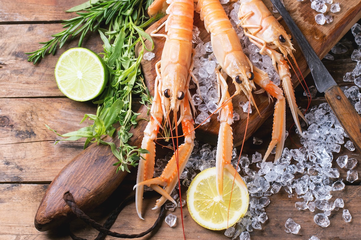 Langoustine : comment l'acheter, la conserver, la cuisiner