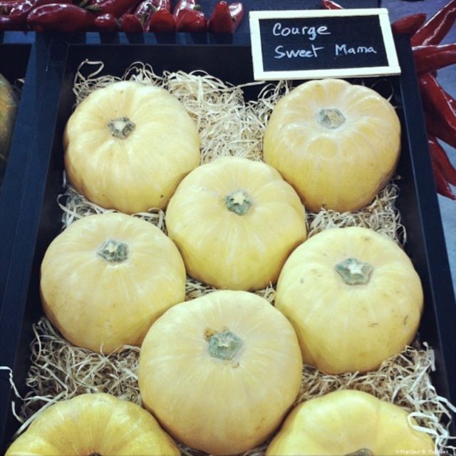 A la découverte du giraumon, la courge ou potiron turban