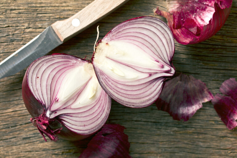 Oignons : les différentes variétés en cuisine