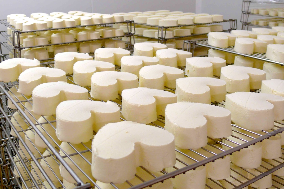 Neufchâtel Cœur de Bray : un fromage de Normandie