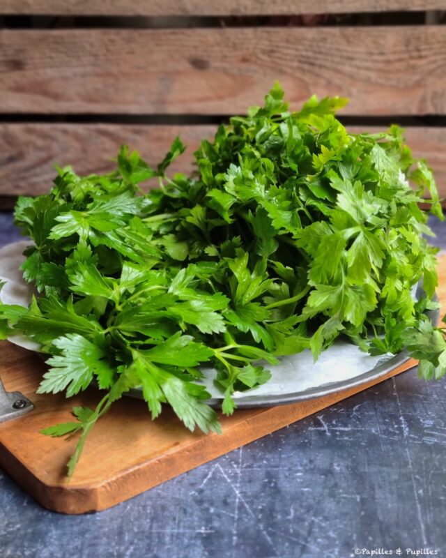 Le persil en cuisine pour des recettes pleines de saveur