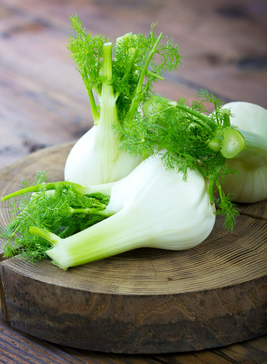 Fenouil : Tout ce que vous vouliez savoir