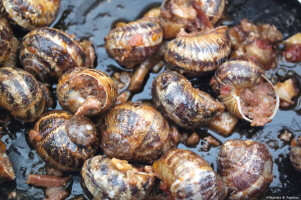 Cagouilles à la Charentaise, les escargots farcis