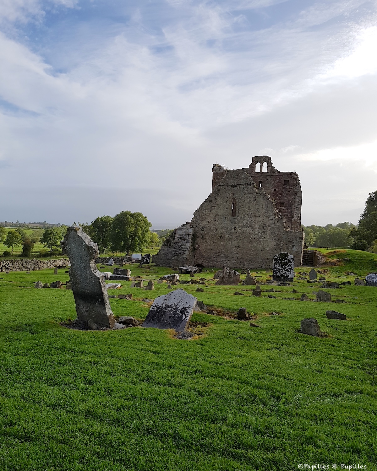 Newtown Jerpoint : ruines secrètes près de Kilkenny