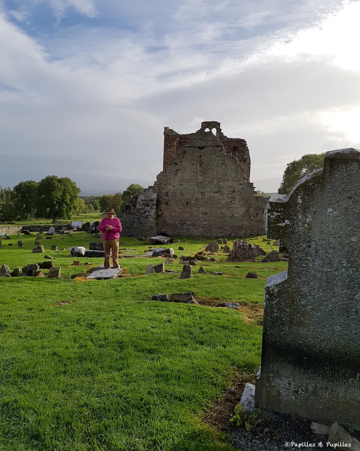 Newtown Jerpoint : ruines secrètes près de Kilkenny