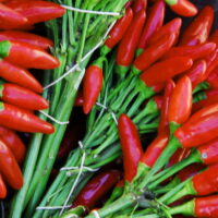 Piments antillais / Piments Habanero : un piment très fort