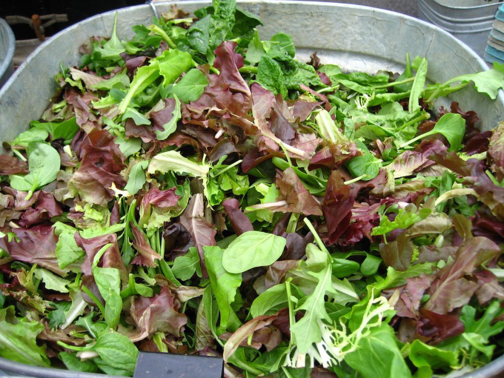 Mesclun : un mélange de jeunes pousses de salades