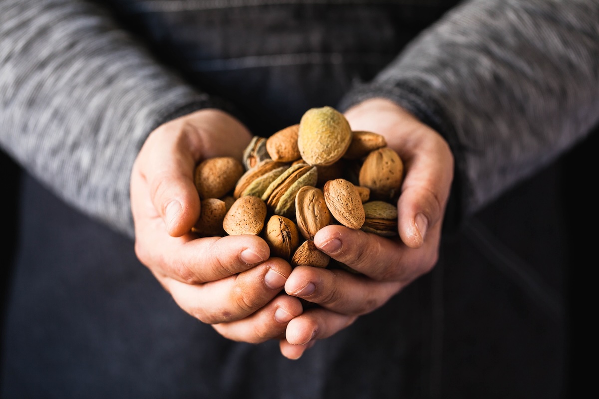 Amandes : un trésor culinaire aux multiples facettes