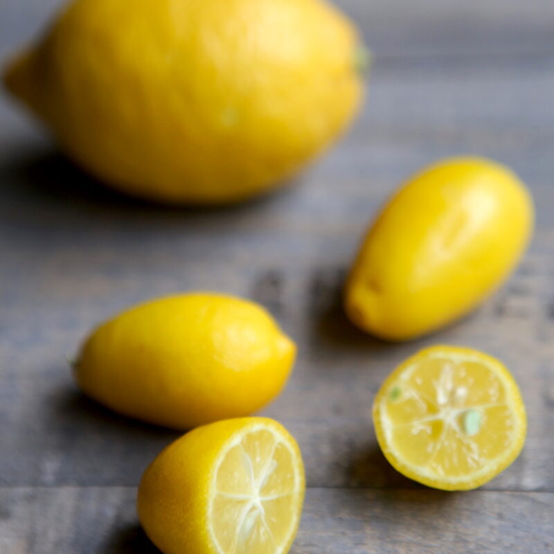 Citron Meyer : le meilleur des citrons (sans acidité)