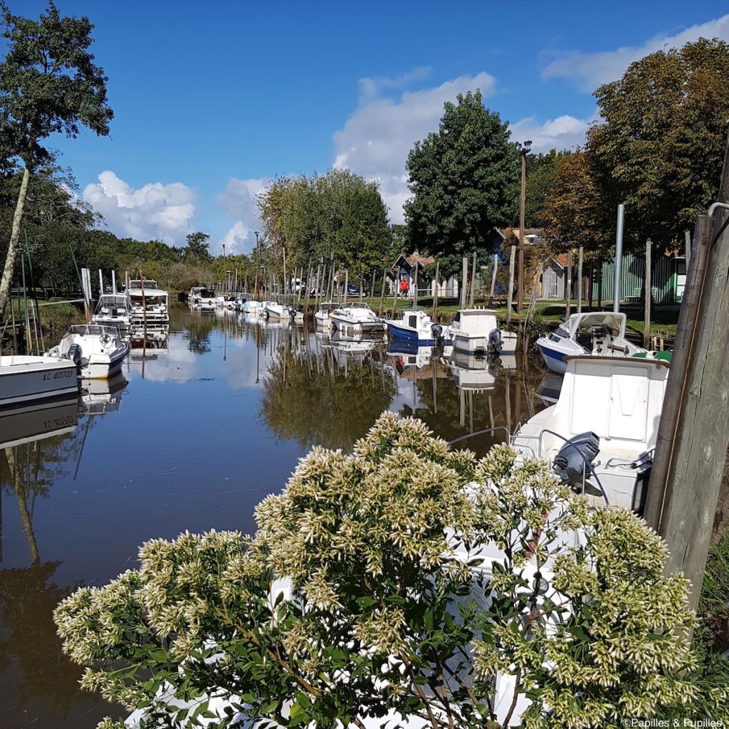 Bassin d'Arcachon que faire quand il pleut