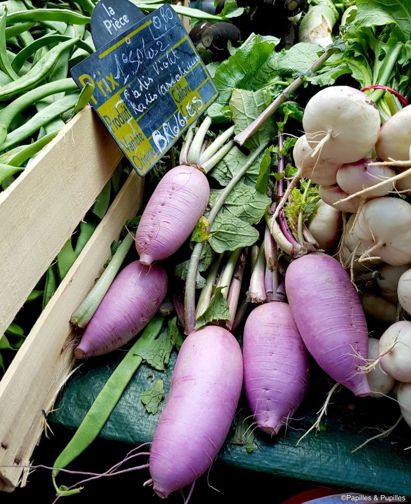 Radis mauve