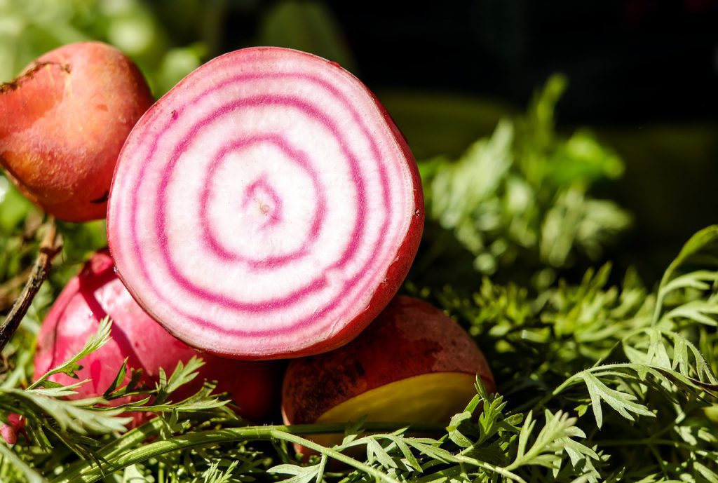 Betteraves : variétés, cuisson et idées cuisine