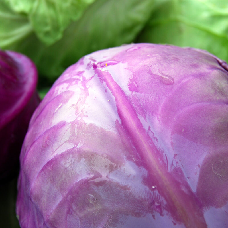 Pak choï / Bok choy