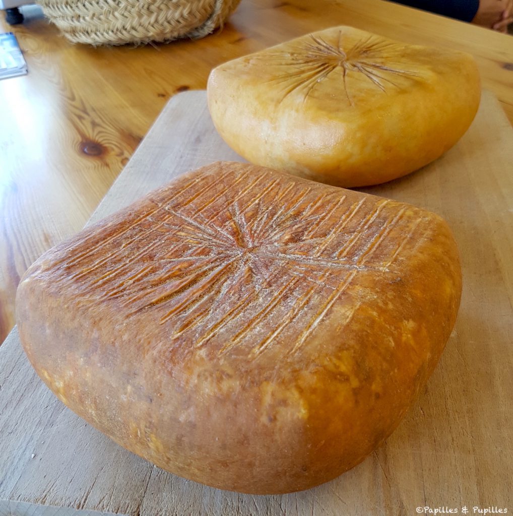Le Curé Nantais, un fromage au lait cru de vache