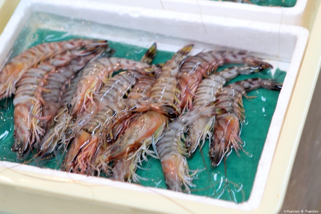Gambas : des recettes pour toutes les occasions