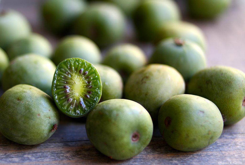 Kiwai : des recettes faciles pour ce petit fruit acidulé