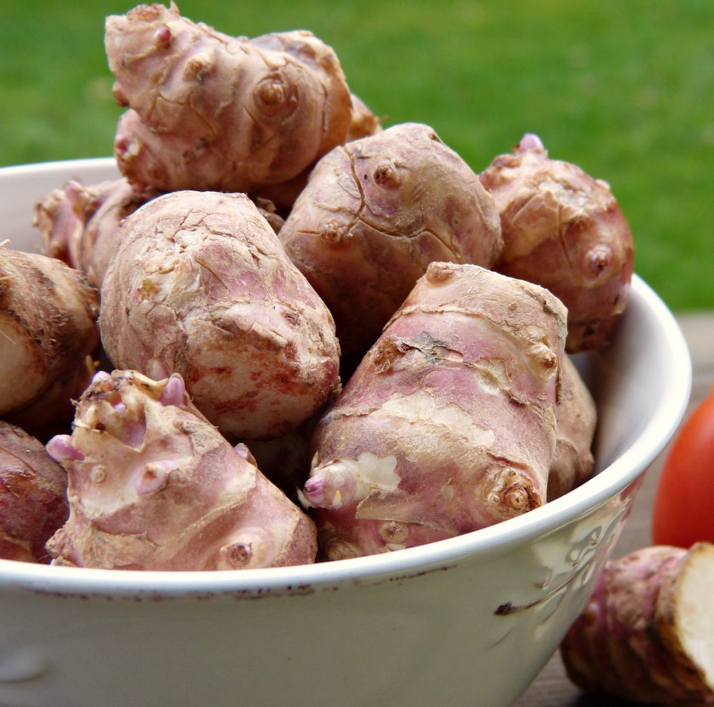 Recettes de Topinambours – Idées de recettes à base de Topinambours