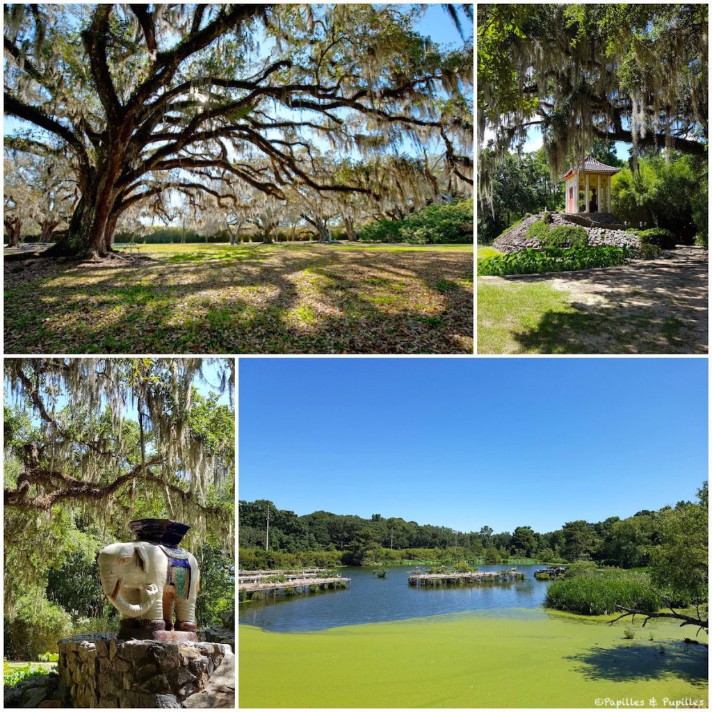 Avery Island : visite du berceau de Tabasco®