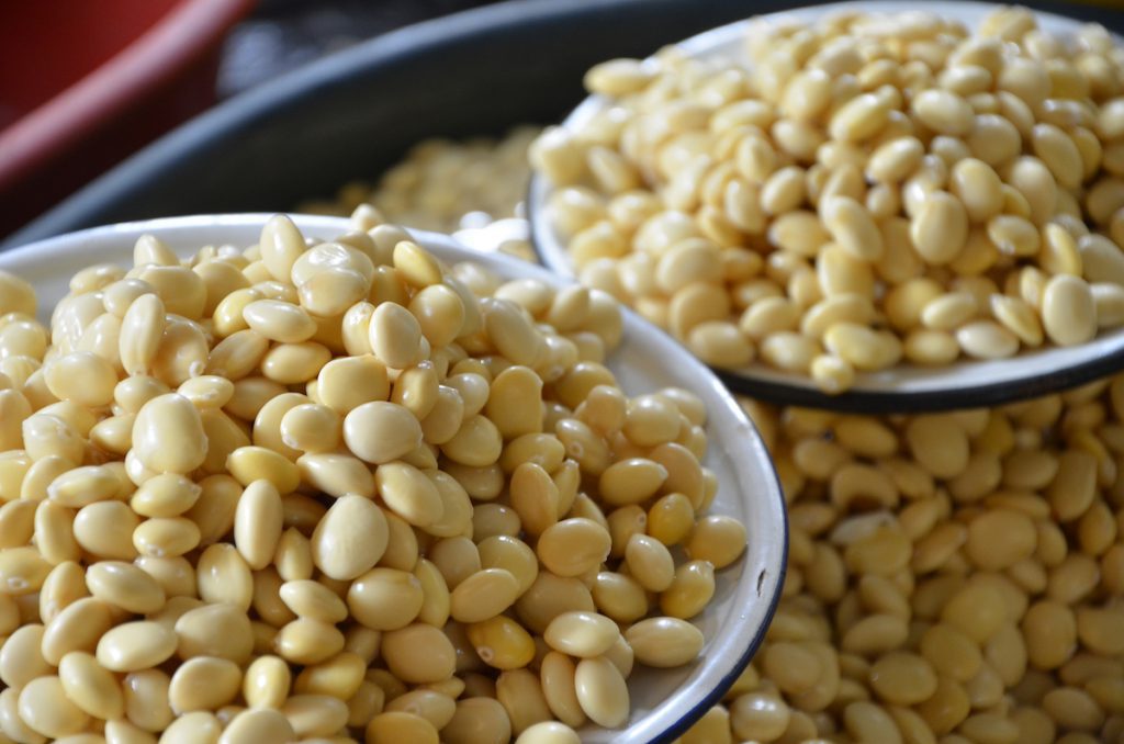 Le chocho, un super aliment venu d’Amérique du Sud