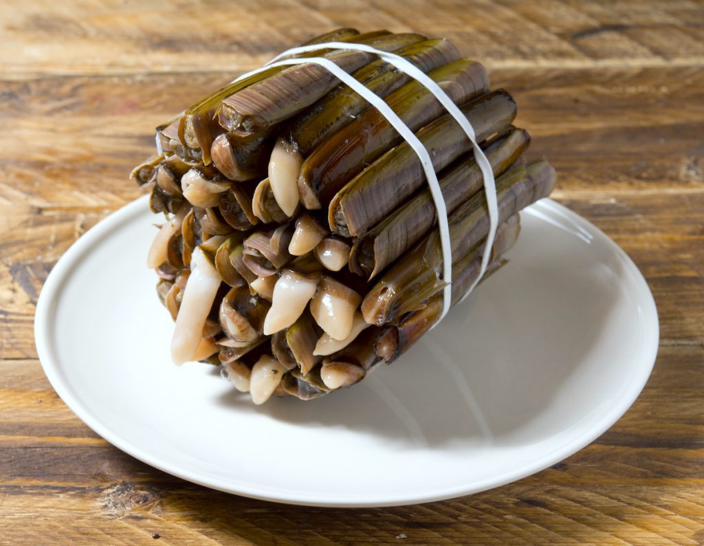 Le couteau, un coquillage qui aiguise l’appétit