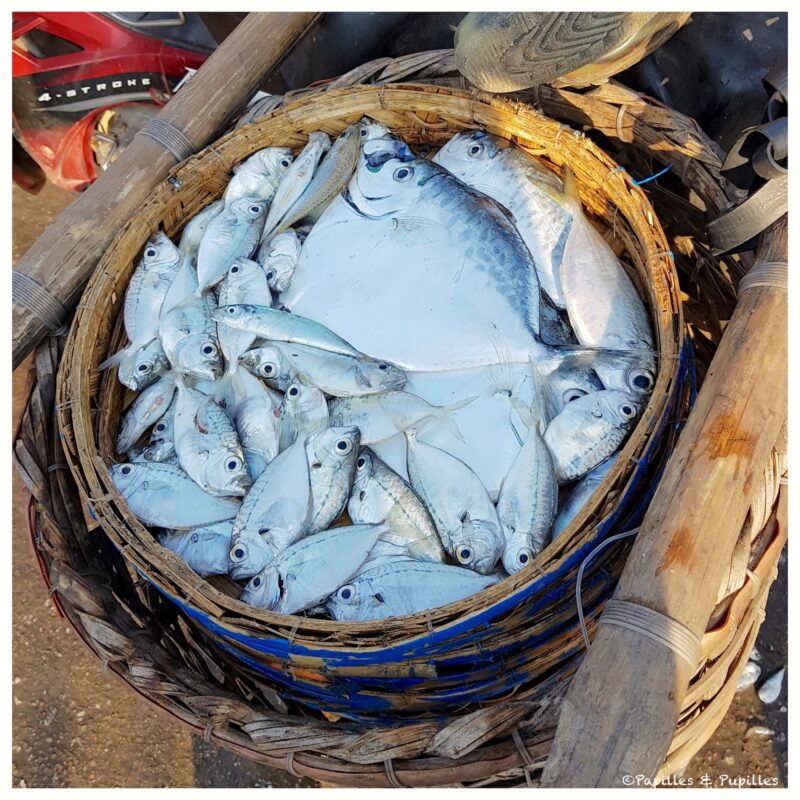 Le marché aux poissons de Duy Hai, Hoi An