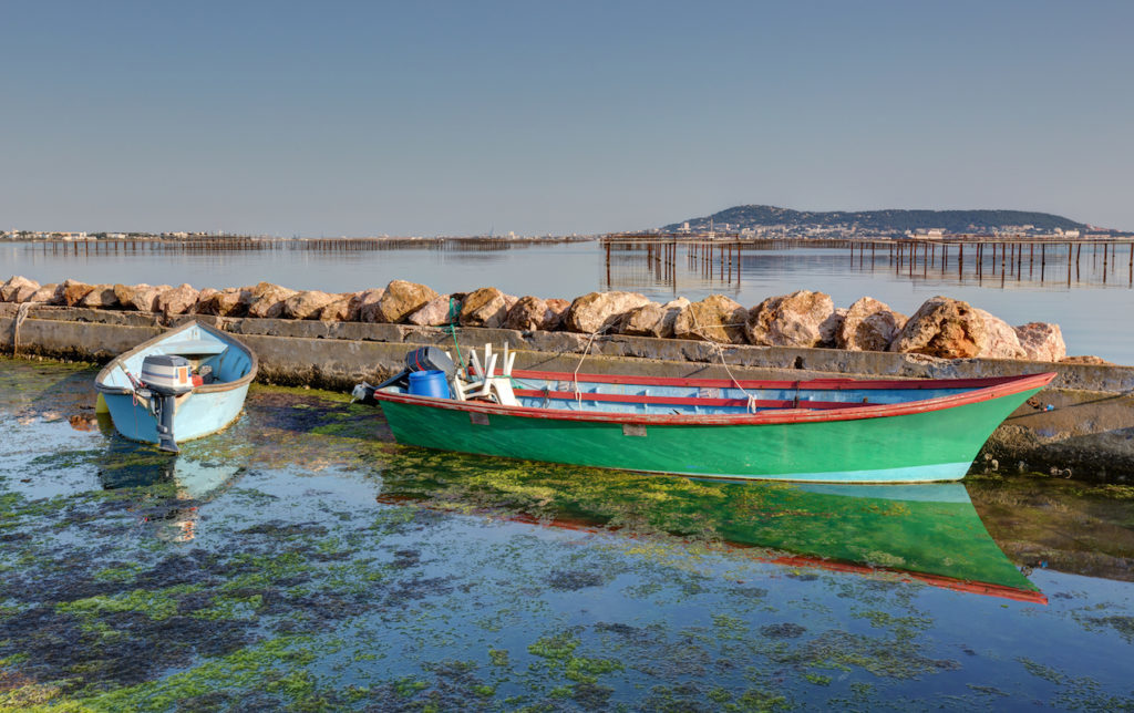 Les huîtres de Bouzigues