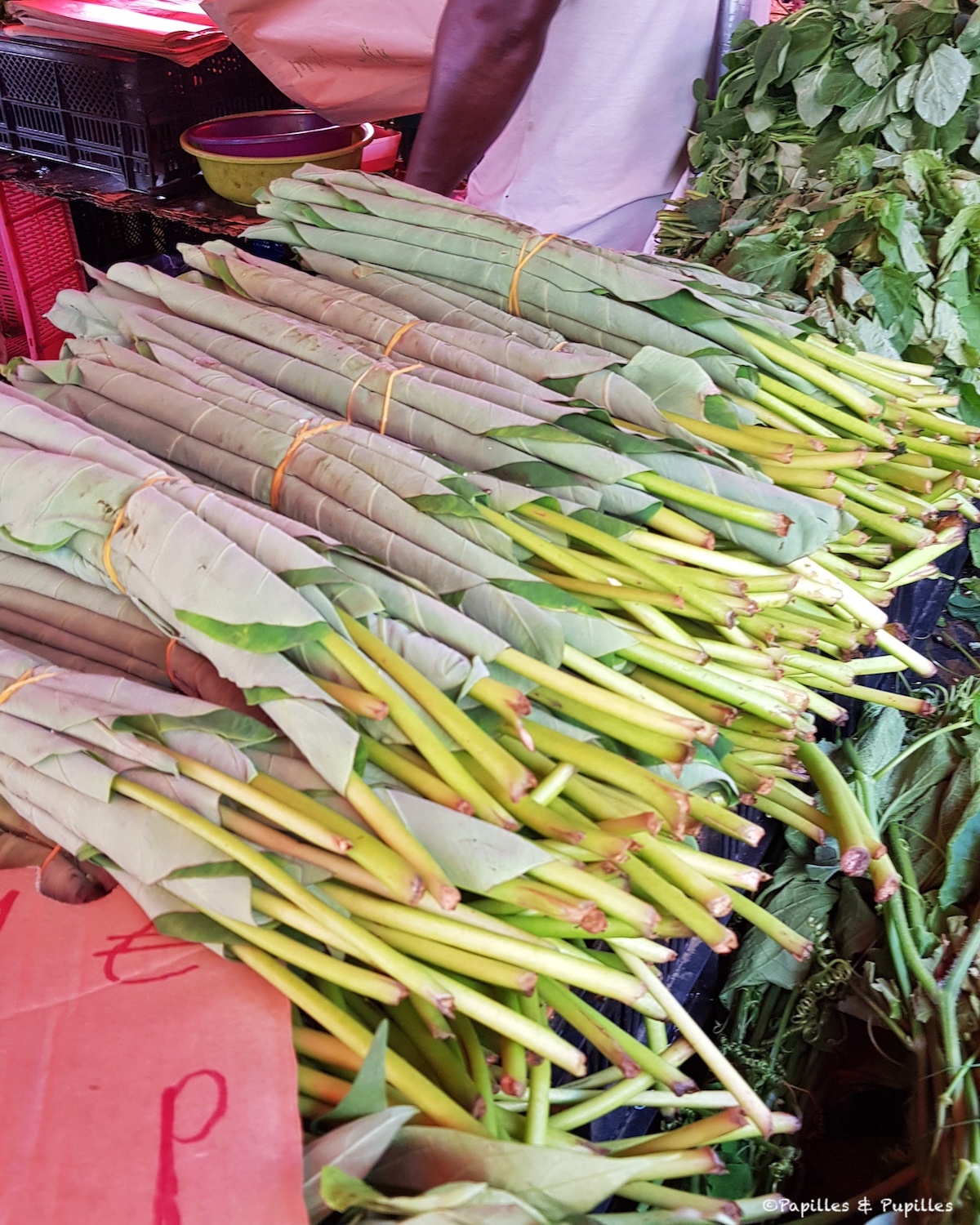 Brèdes : de délicieux légumes feuilles à découvrir