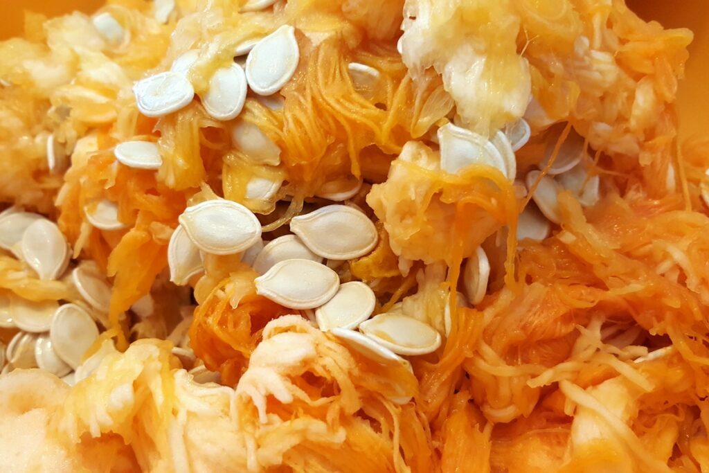 Recuperer Graine De Courge