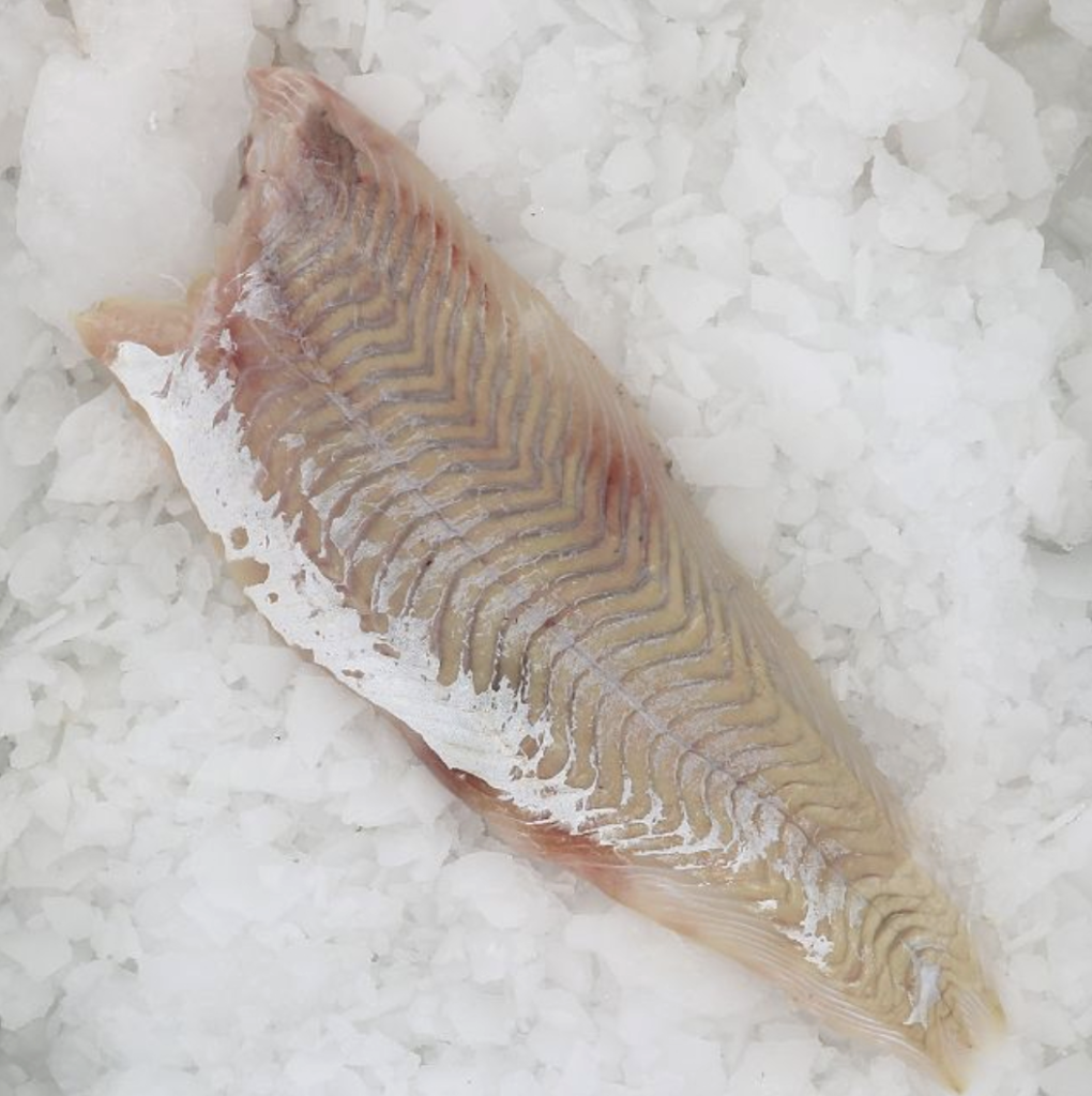 Lieu jaune : un délicieux poisson à découvrir