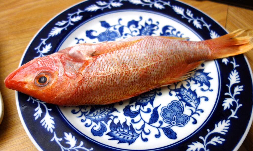 Vivaneau, un excellent poisson à chair ferme