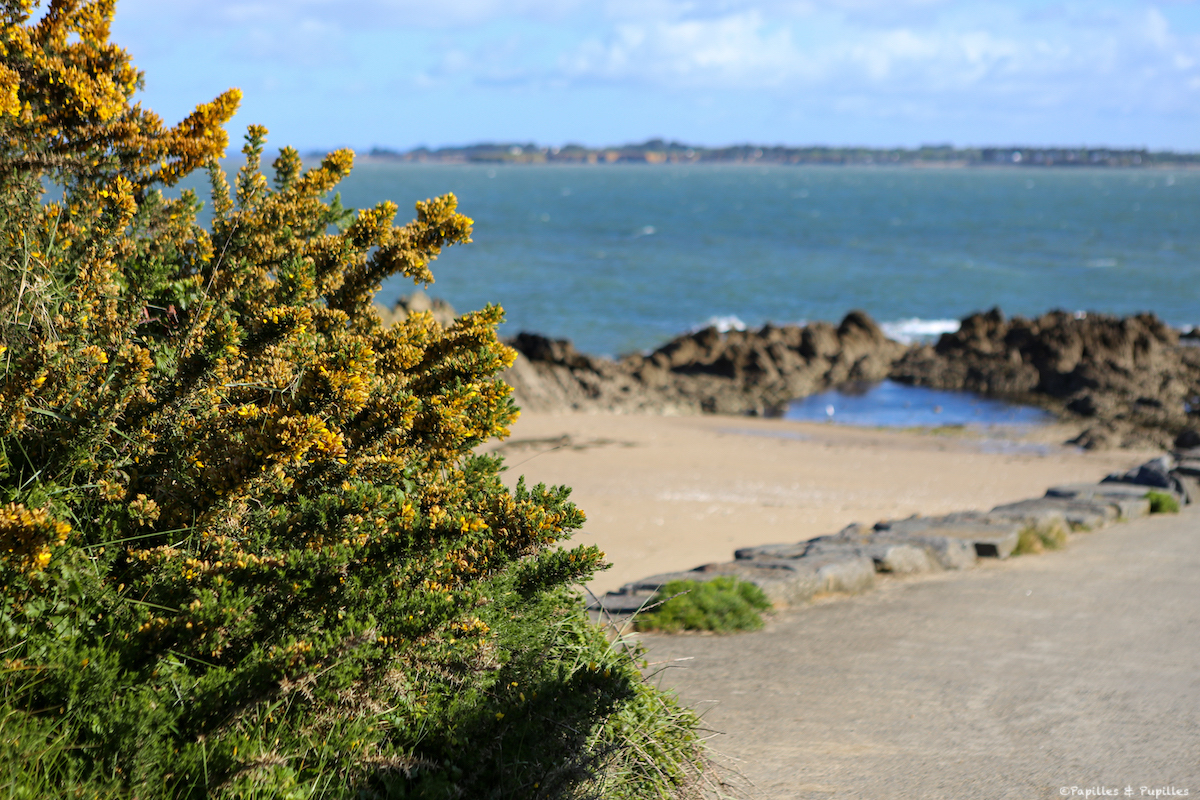 Visiter la presqu’île de Guérande : de Mesquer à Piriac