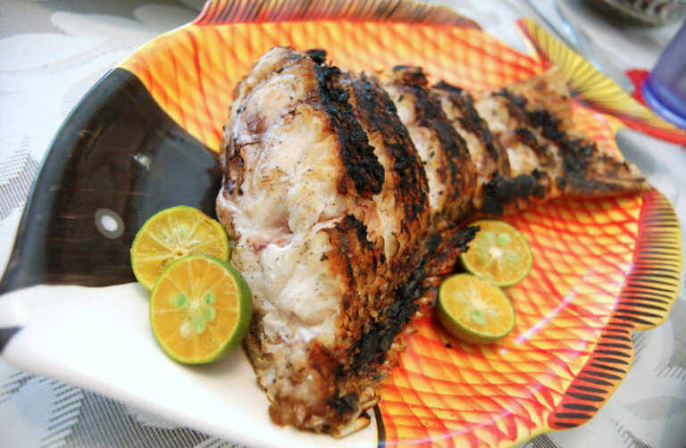 Mahi Mahi, la daurade coryphène à la chair délicieuse