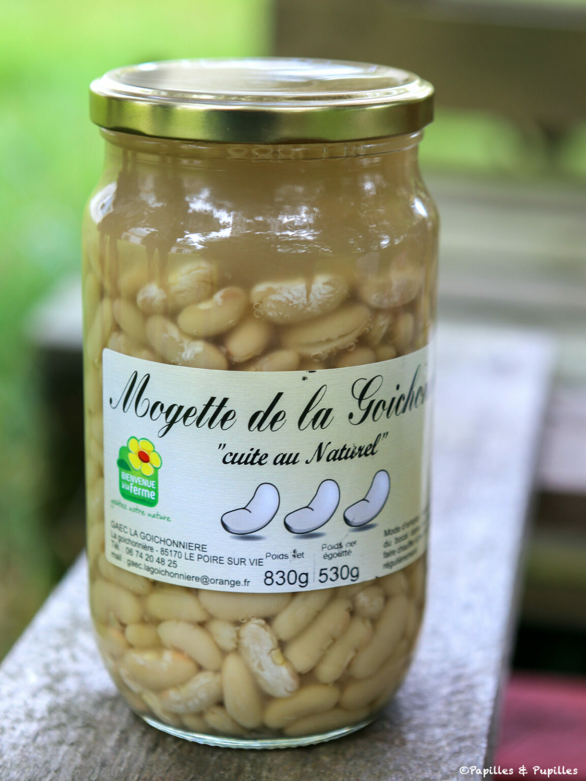 Mogette Le Succulent Haricot Blanc Vend en Mogette Le Succulent Haricot Blanc Vend en