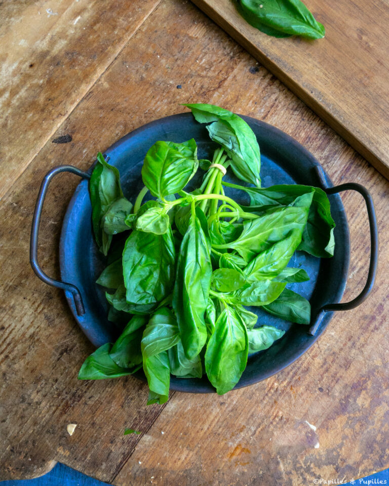 Basilic : un ingrédient estival pour parfumer nos recettes