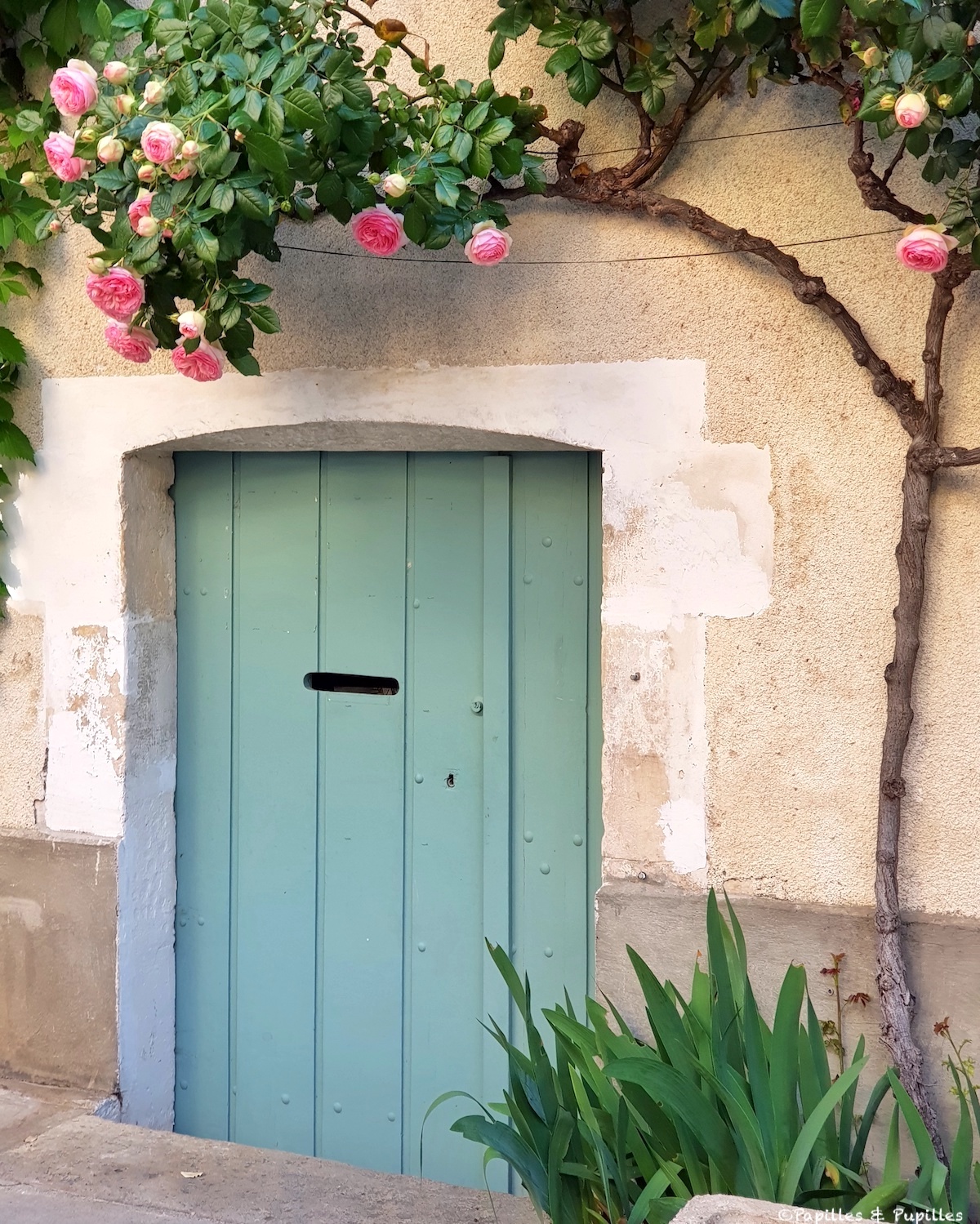 Visiter Chablis, que faire à Chablis : Mon top 10